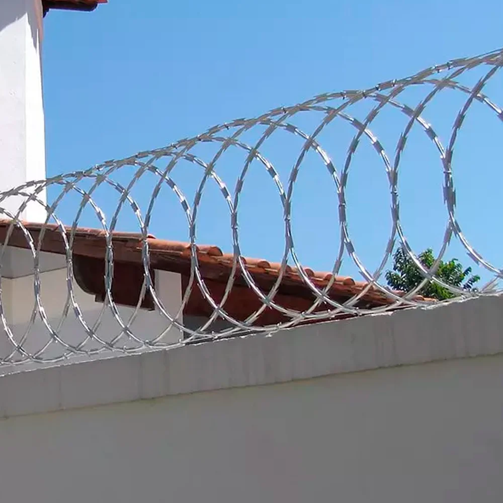 Serviços – Flávio – Concertinas e Lança de Proteção